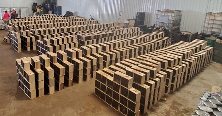 3 Pound Package of Bees with Marked Italian Queen | Maple Bend Bee ...